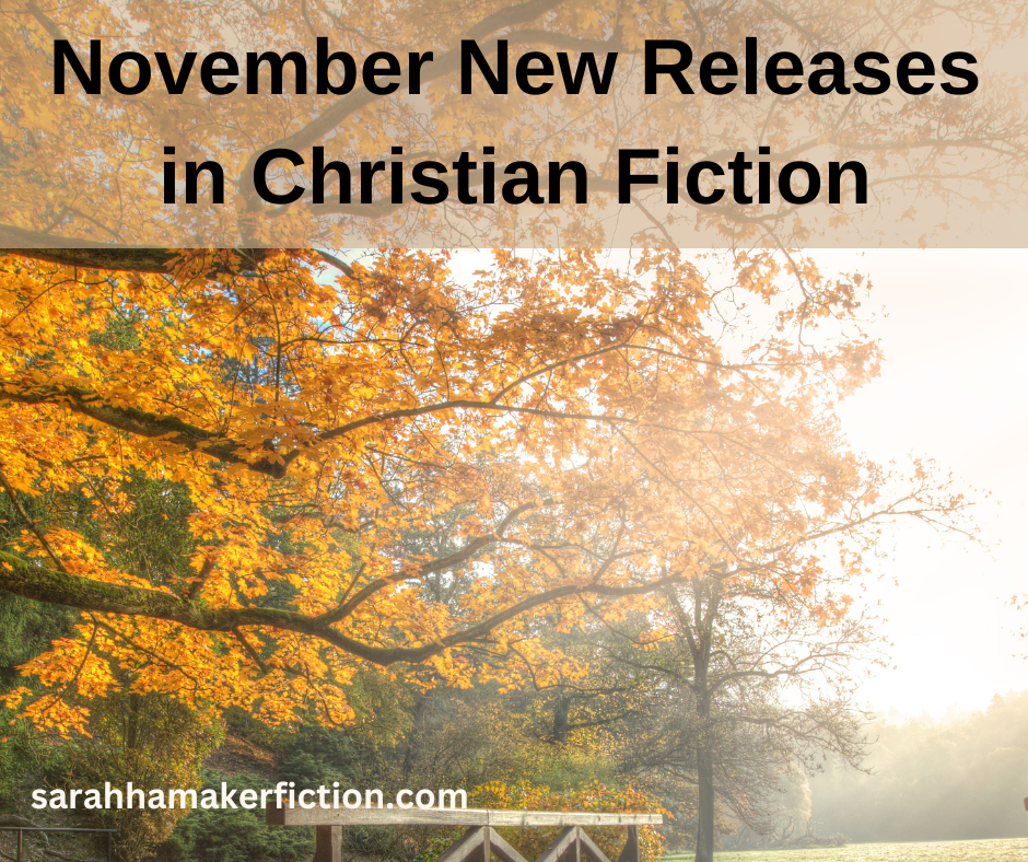 November 2024 New Releases in Christian Fiction - Author Sarah Hamaker